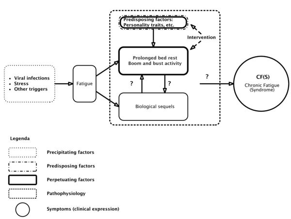 Biopsychosocial model - MEpedia