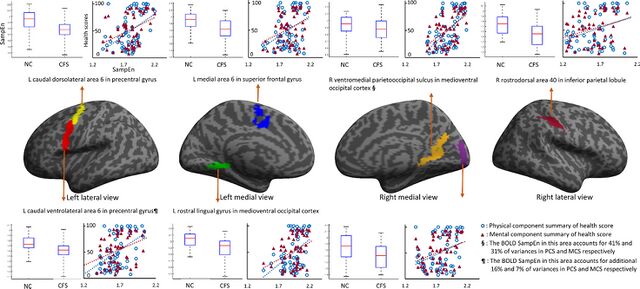 Functional magnetic resonance imaging - MEpedia
